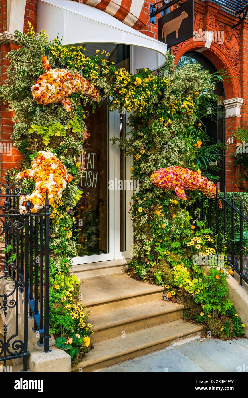 LONDON, UK - MAY 24, 2023: Spectacular floral displays for Chelsea in ...