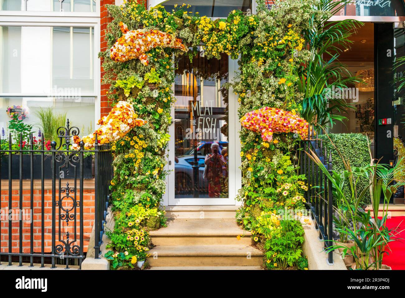 LONDON, UK - MAY 24, 2023: Spectacular floral displays for Chelsea in ...