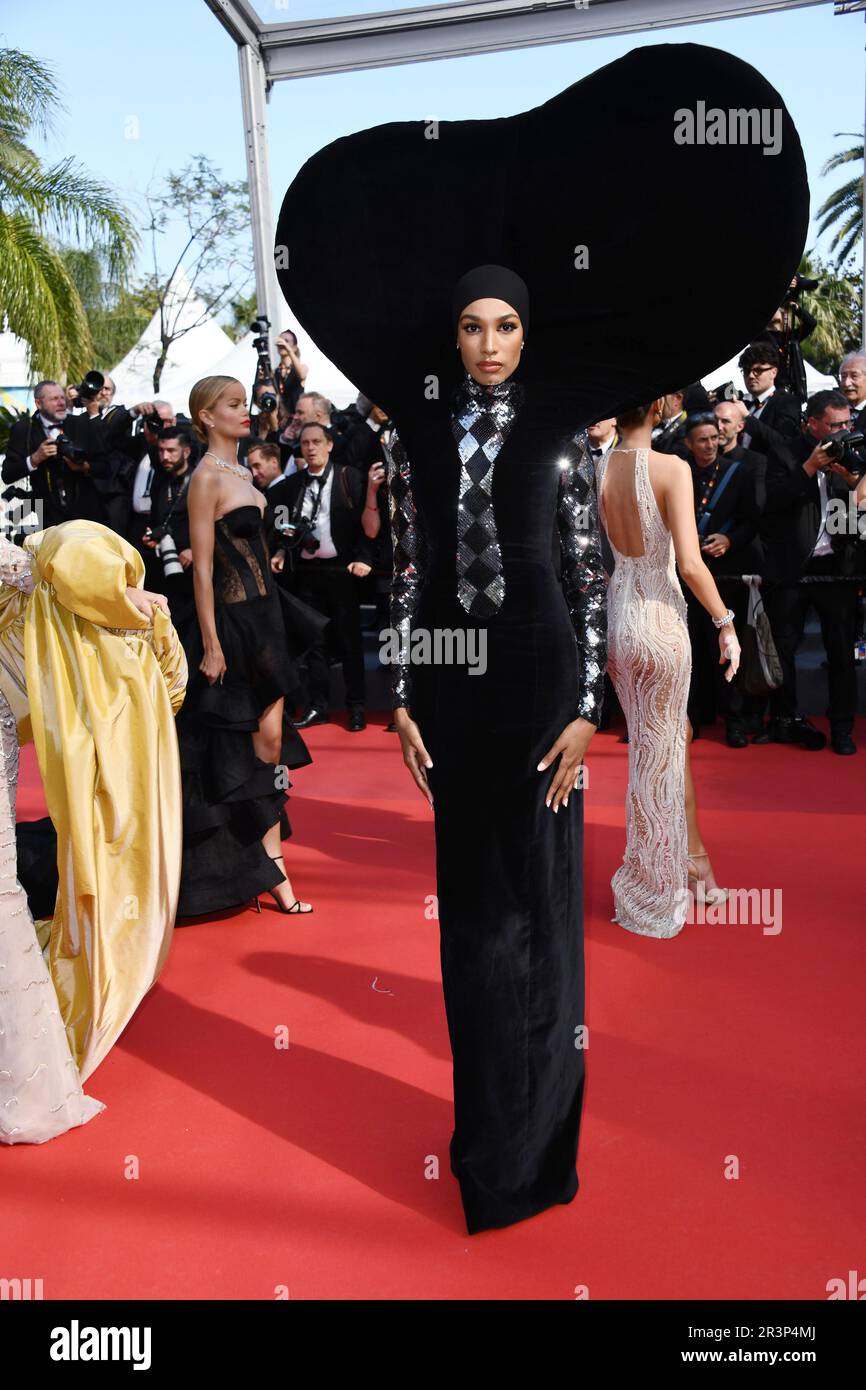 Cannes, . 24th May, 2023. 76th Cannes Film Festival 2023, Red Carpet ...