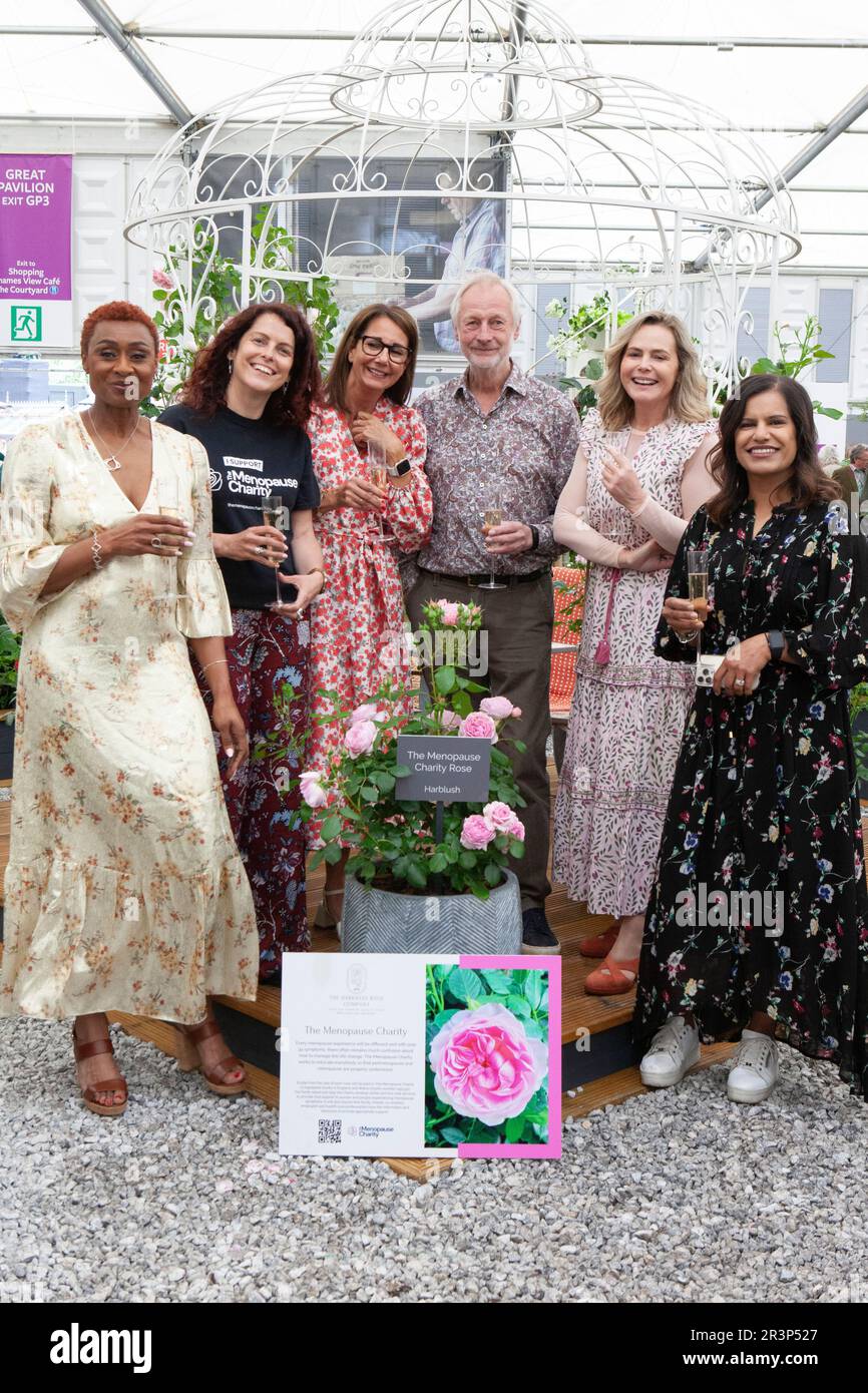 London, UK, 22 May 2023: A new rose was launched at Chelsea Flower Show ...
