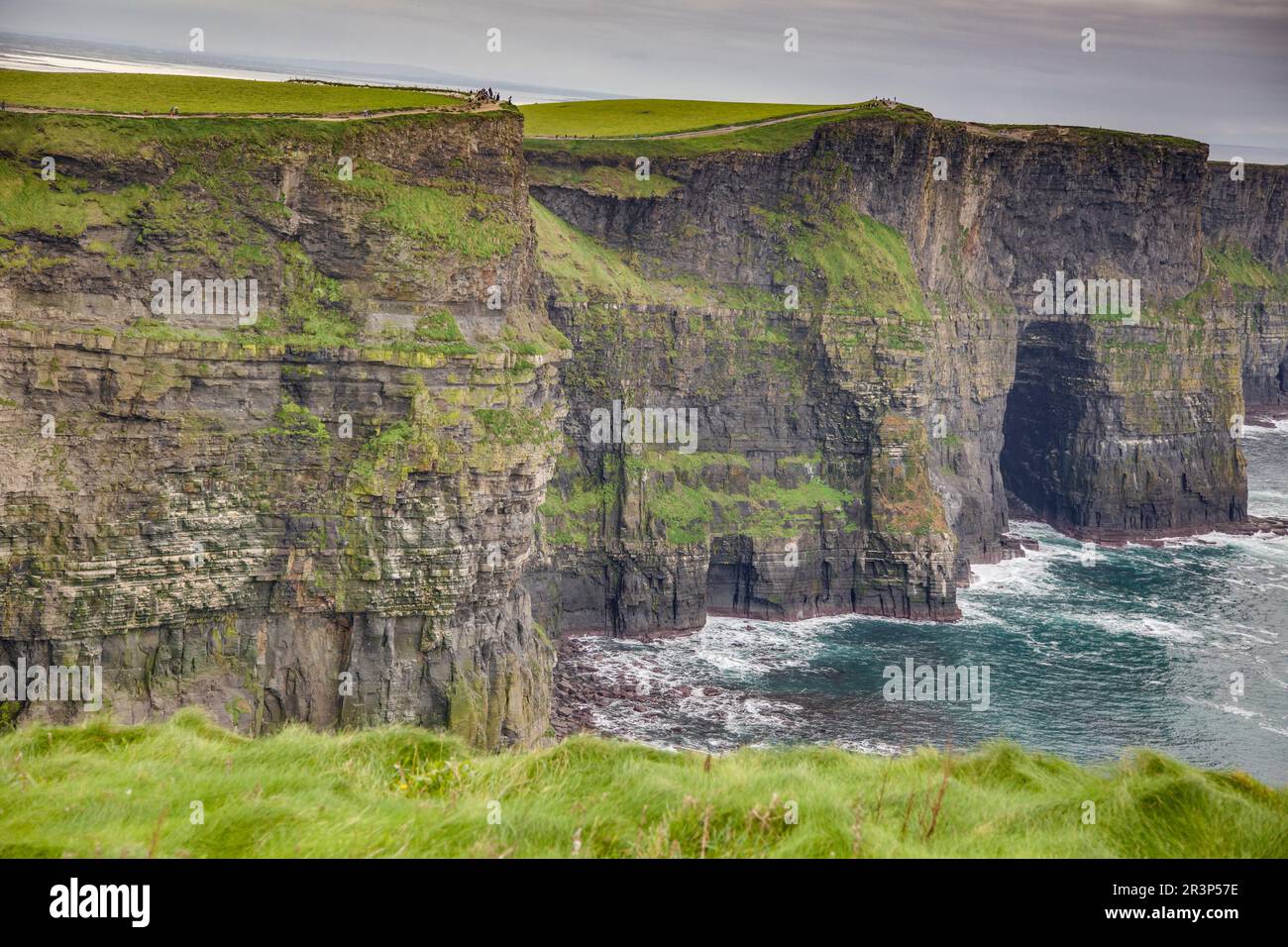 View over cliff line of the Cliffs of Moher in Ireland Stock Photo - Alamy