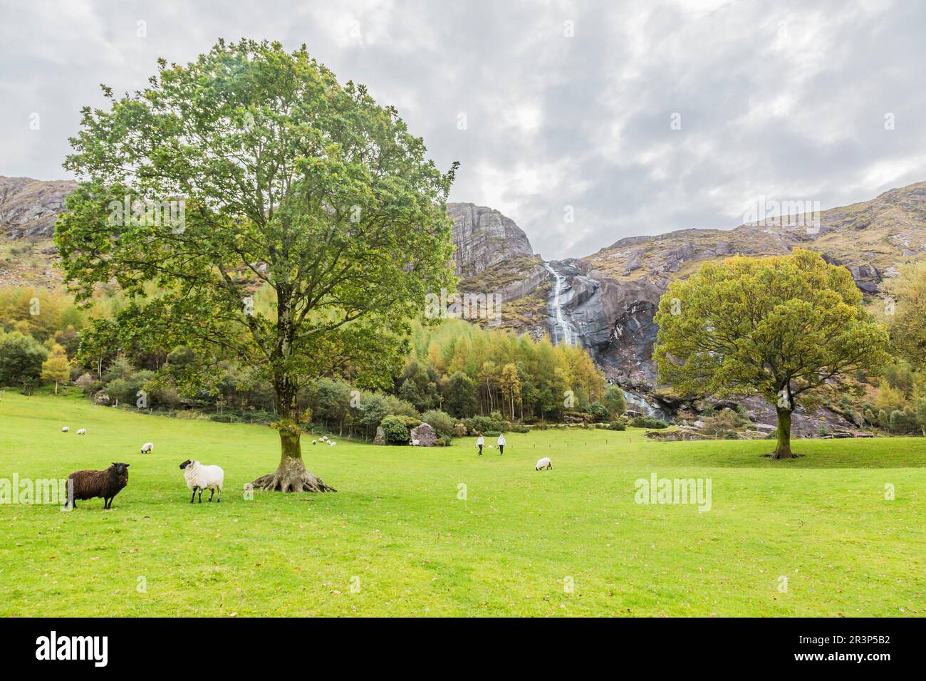 Typical Irish landscape with green meadow and waterfall Stock Photo - Alamy