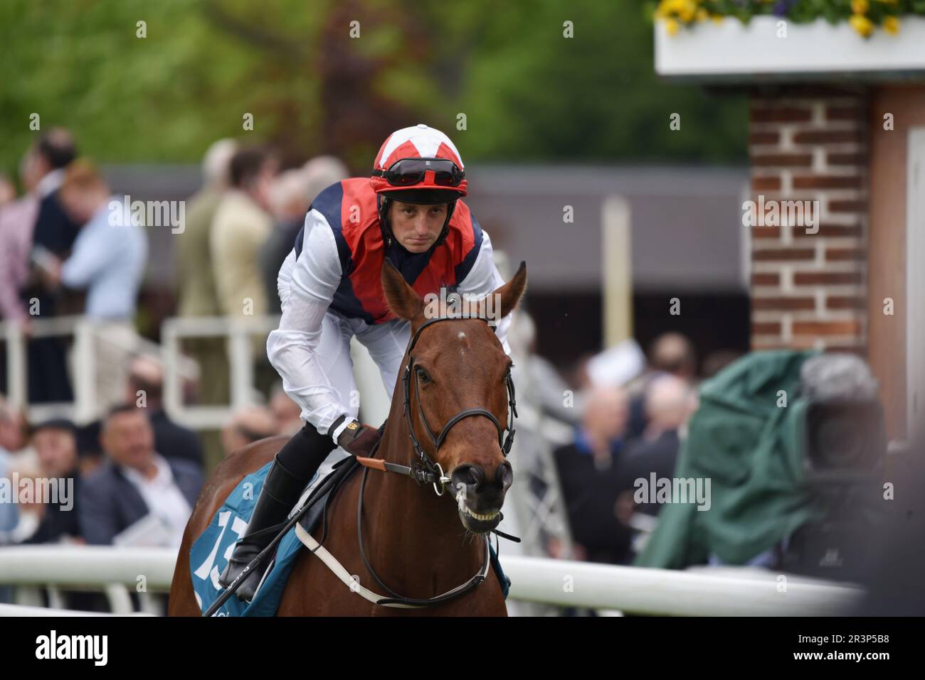 Jockey Duran Fentiman and Horse Copper Knight at Dante Festival Stock ...
