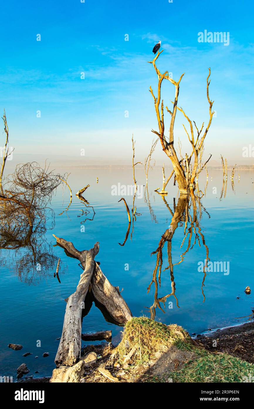 Eagle park drive hi-res stock photography and images - Alamy