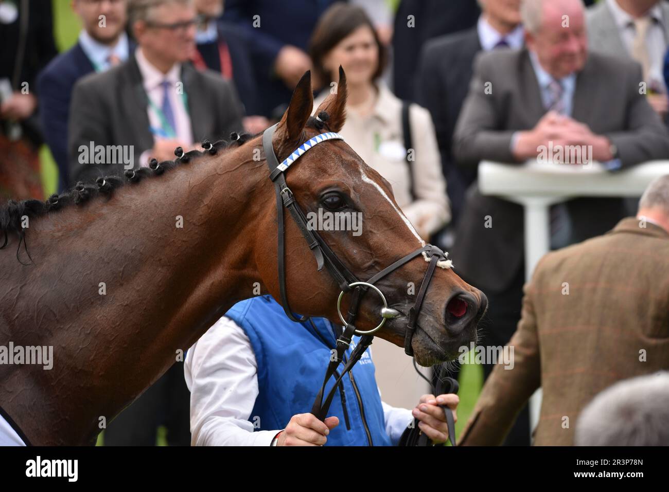 The Foxes won The Al Basti Equiworld Dubai Dante Stakes Stock Photo - Alamy