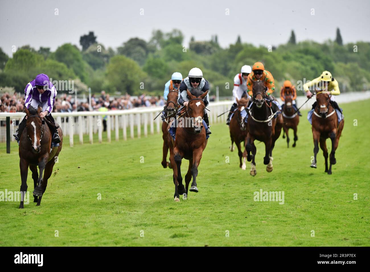 Equiworld hi-res stock photography and images - Alamy