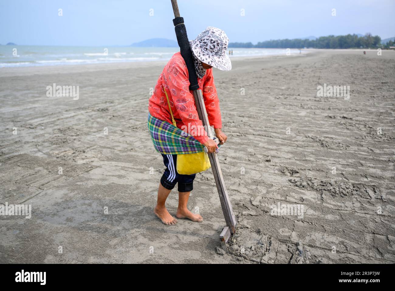 People finding shells on beach in Thailand Stock Photo - Alamy