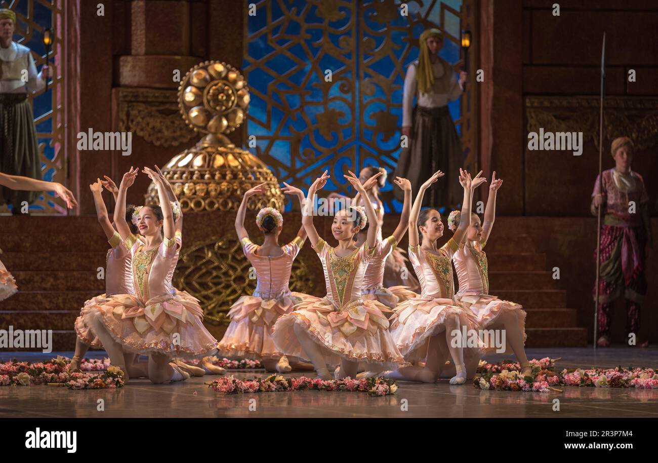 Das Ballett La BayadÃ¨re von Petipa Stock Photo - Alamy