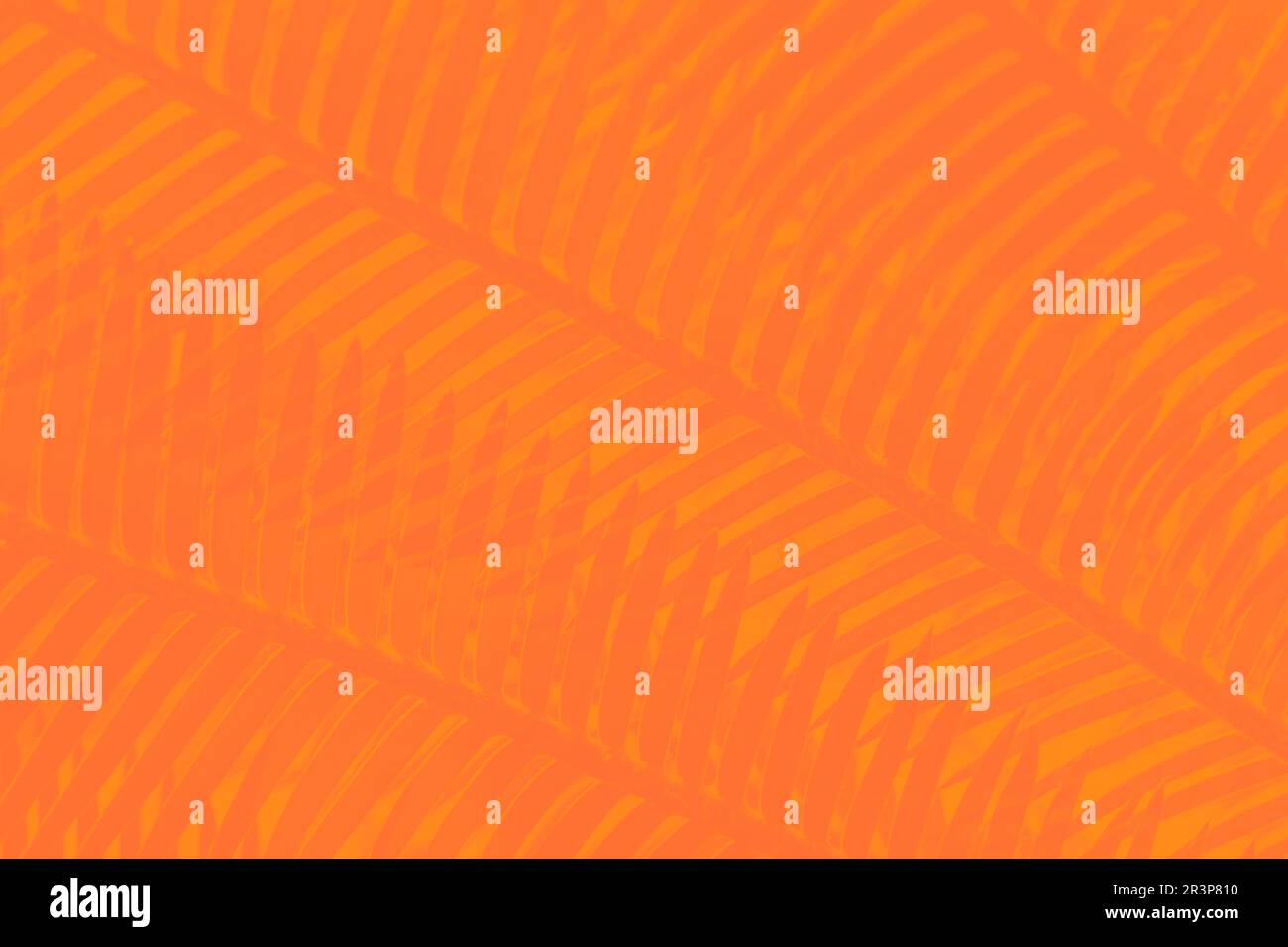 Vivid orange color background with palm leaves pattern Stock Photo - Alamy