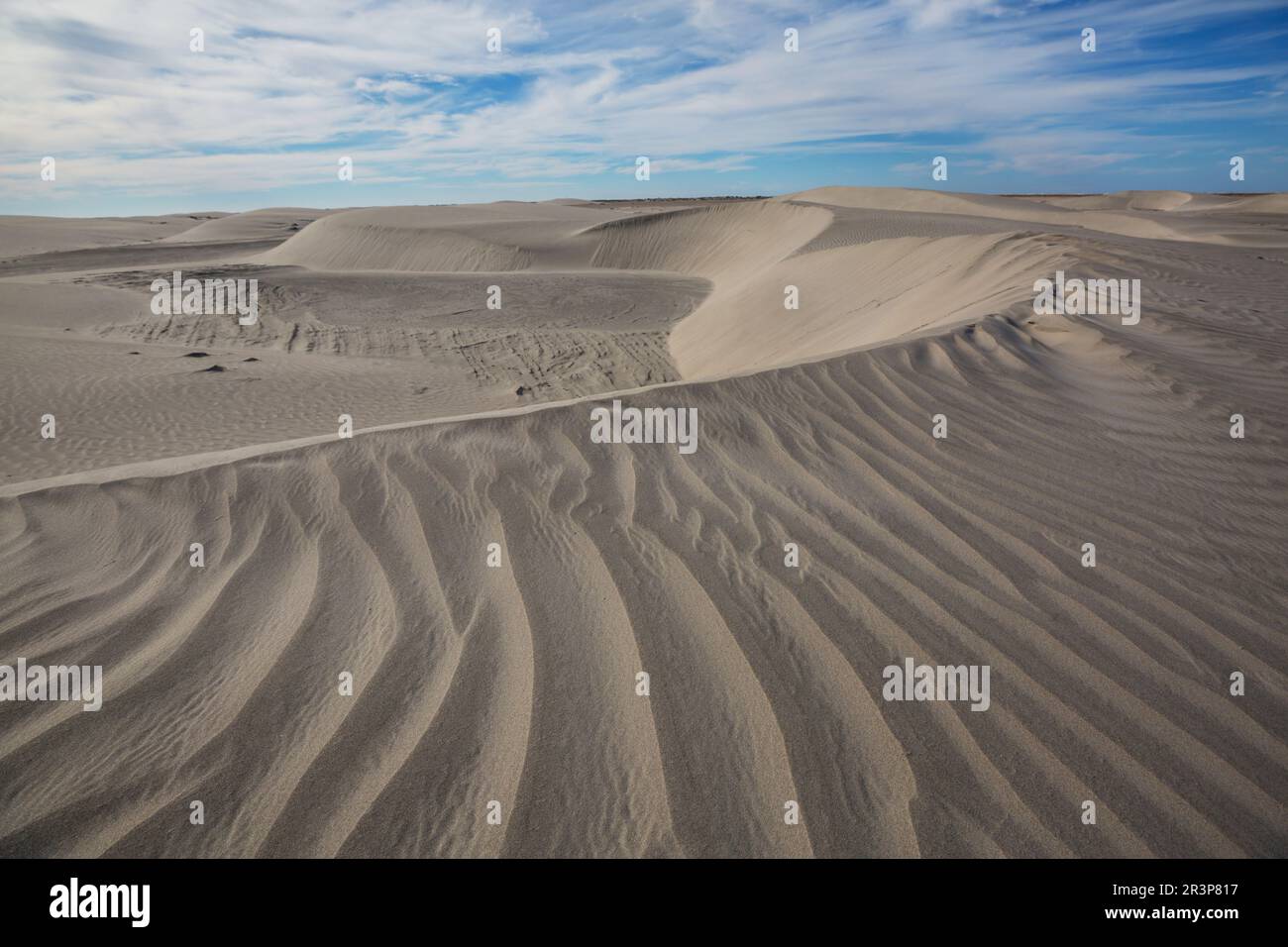 Unspoiled ecosystem hi-res stock photography and images - Alamy