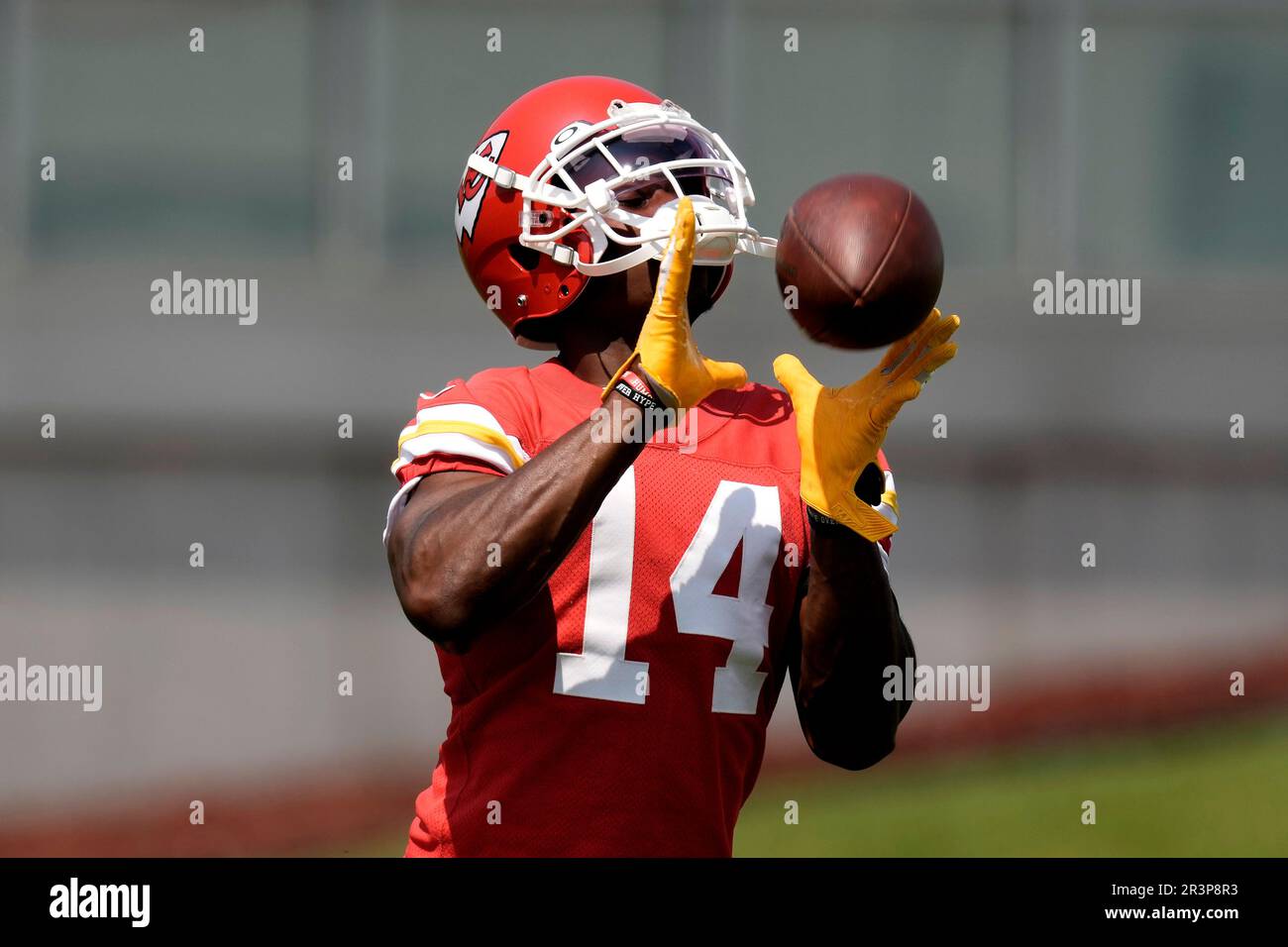 Kansas City Chiefs wide receiver Cornell Powell (14) catches a pass ...