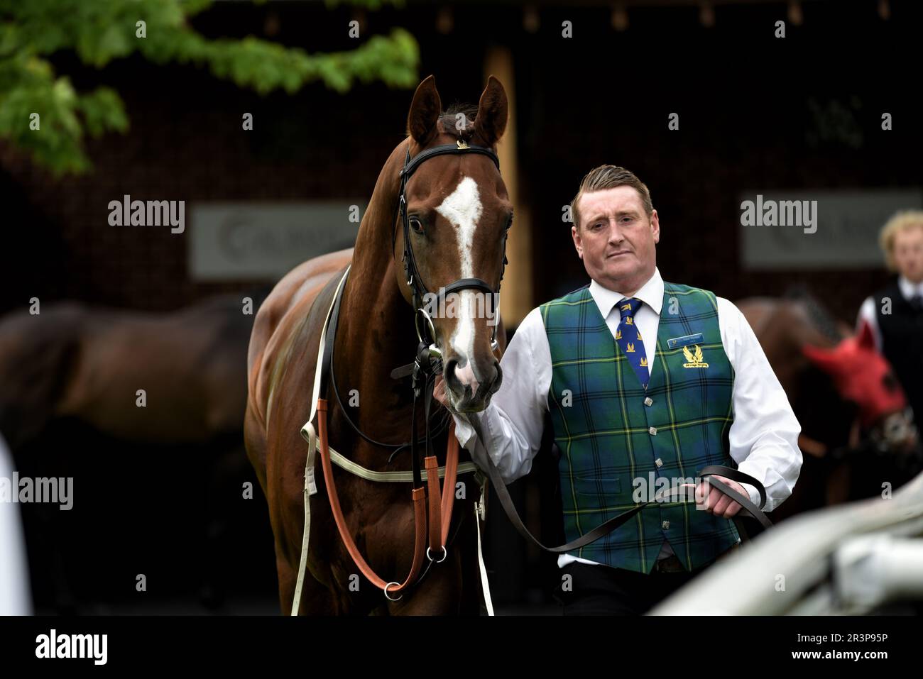 Groundstand hi-res stock photography and images - Alamy