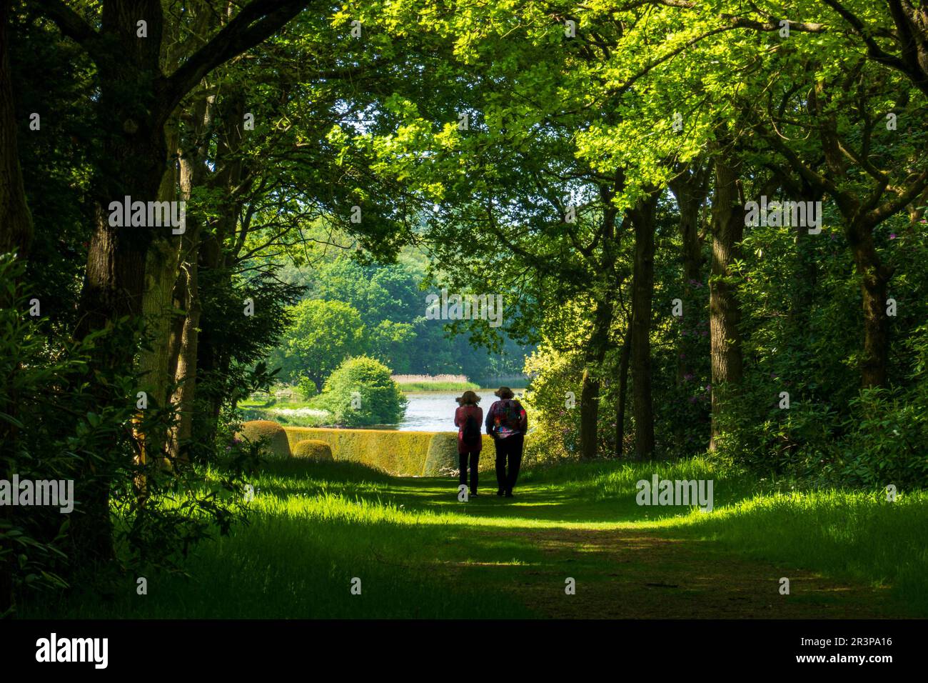 Walk ride hi-res stock photography and images - Alamy