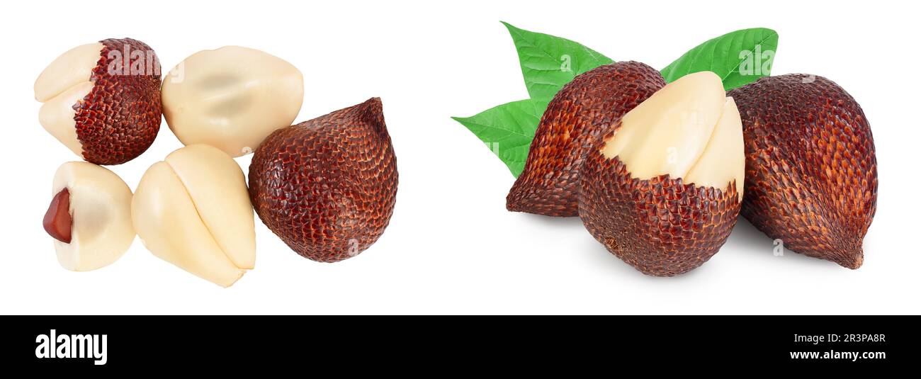 Salak snake fruit isolated on white background with full depth of field ...
