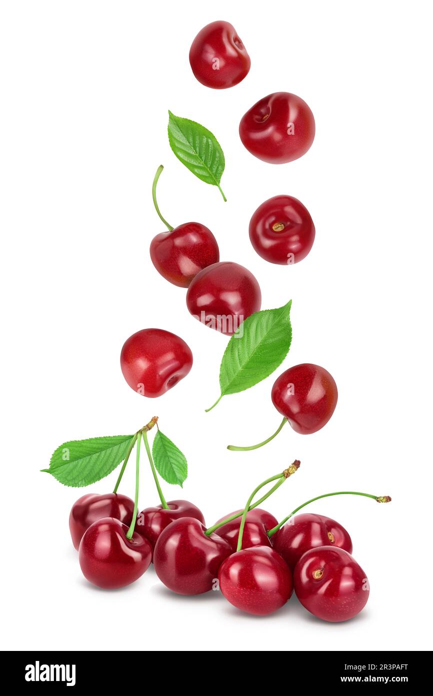 red sweet cherry isolated on white background with full depth of field ...