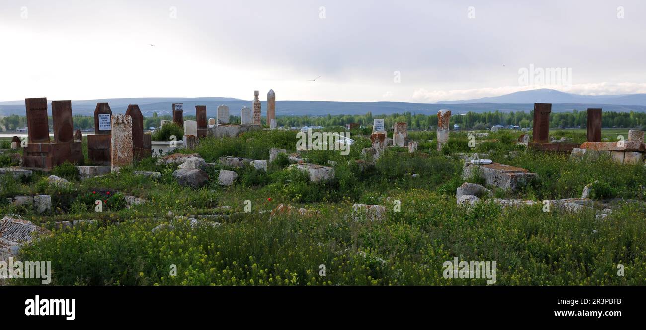 The Celebibagi Seljuk Cemetery, located in Ercis, Turkey, contains ...