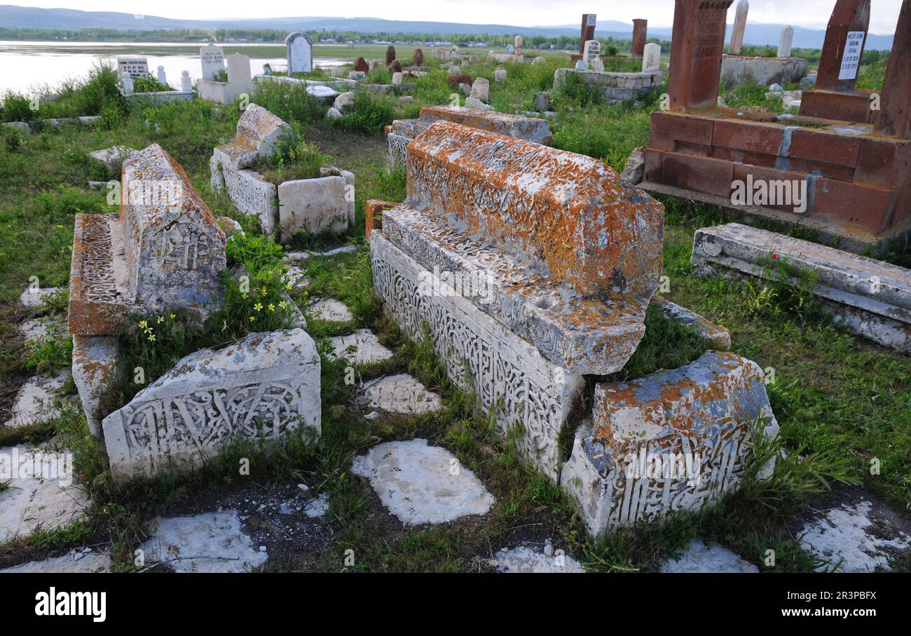 The Celebibagi Seljuk Cemetery, located in Ercis, Turkey, contains ...