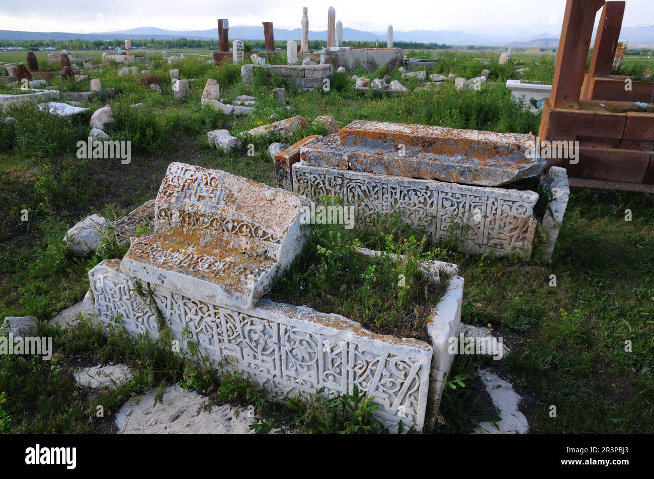 The Celebibagi Seljuk Cemetery, located in Ercis, Turkey, contains ...