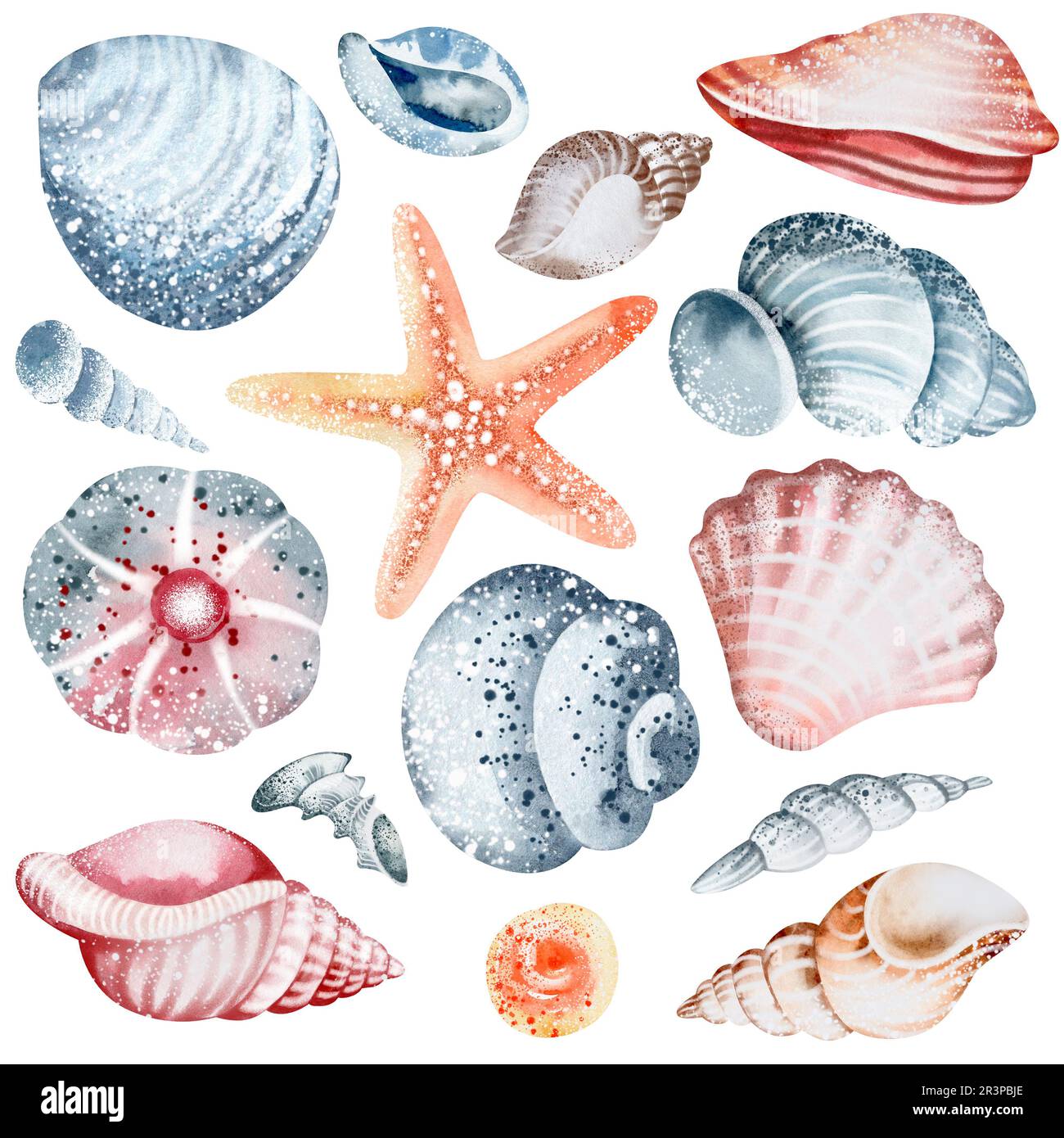 Set of Seashells on isolated white background, watercolor illustration ...