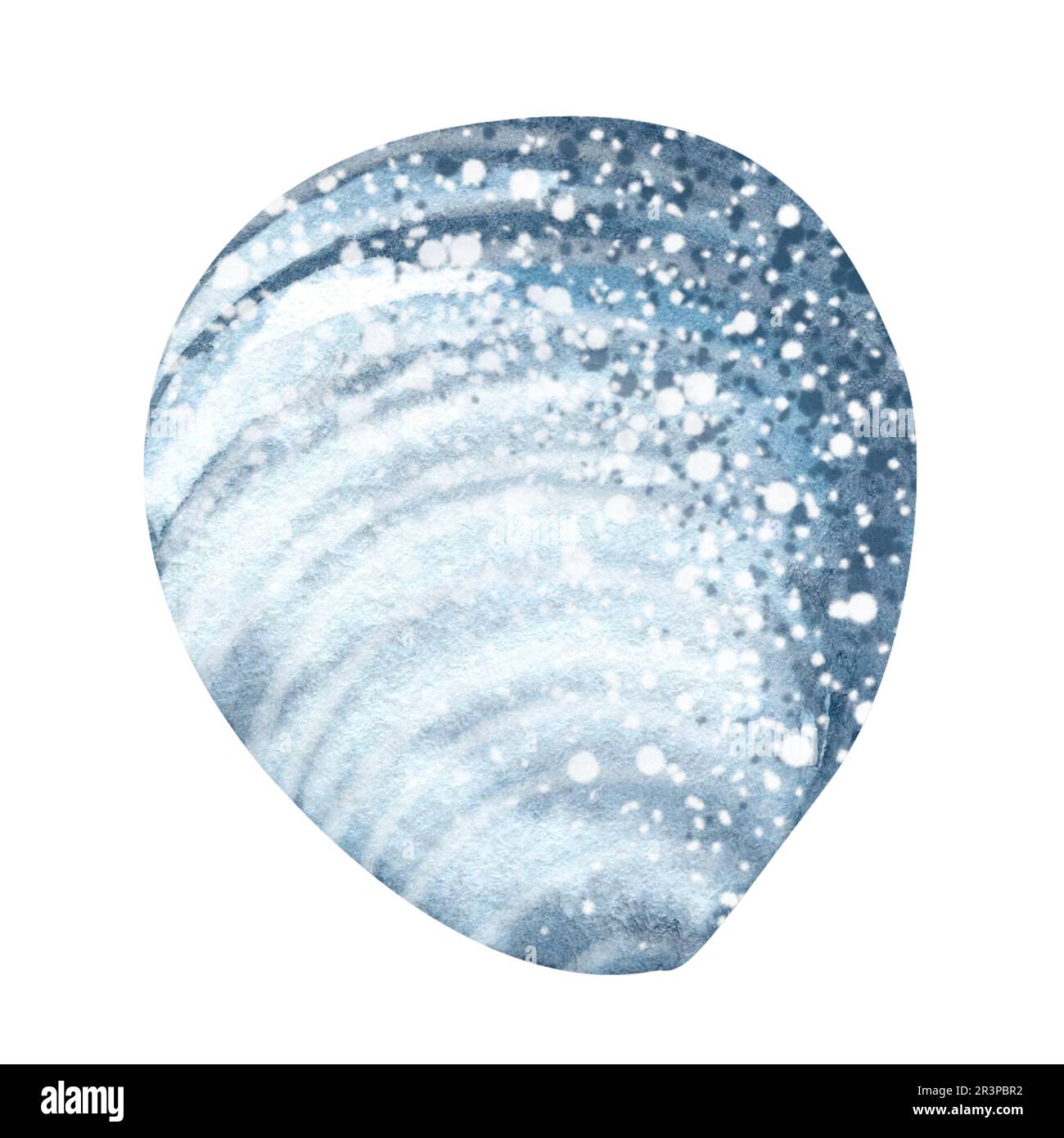 Set of Seashells on isolated white background, watercolor illustration ...