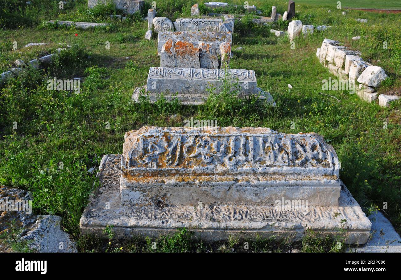 The Celebibagi Seljuk Cemetery, located in Ercis, Turkey, contains ...