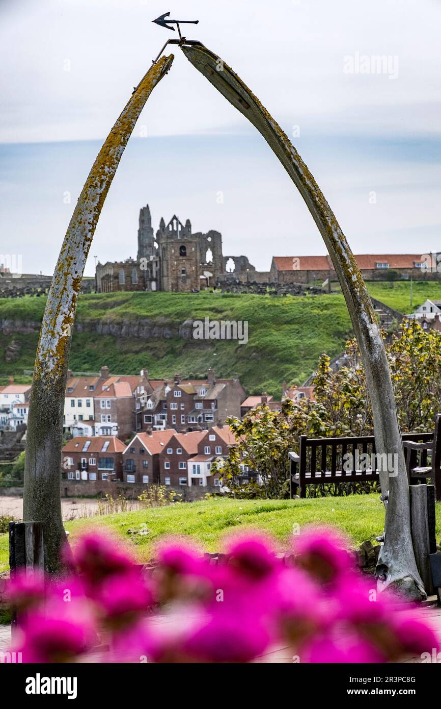 Whale Bones at Whitby, North Yorkshire, England, UK Stock Photo - Alamy