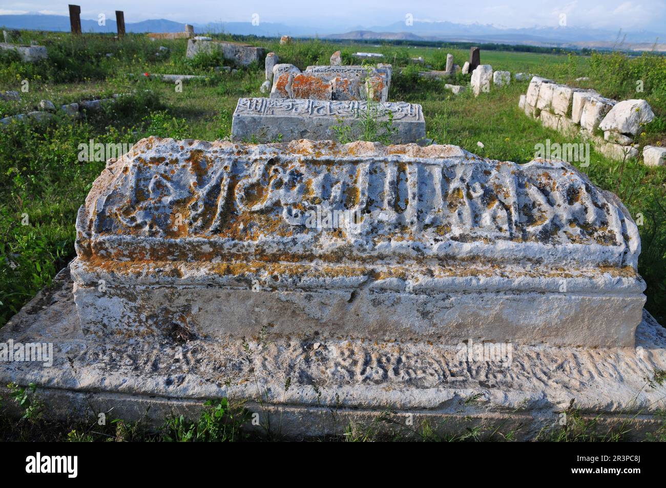 The Celebibagi Seljuk Cemetery, located in Ercis, Turkey, contains ...