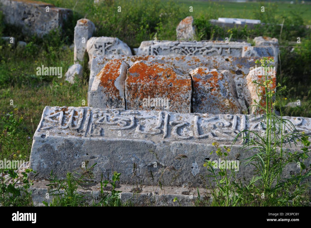 The Celebibagi Seljuk Cemetery, located in Ercis, Turkey, contains ...