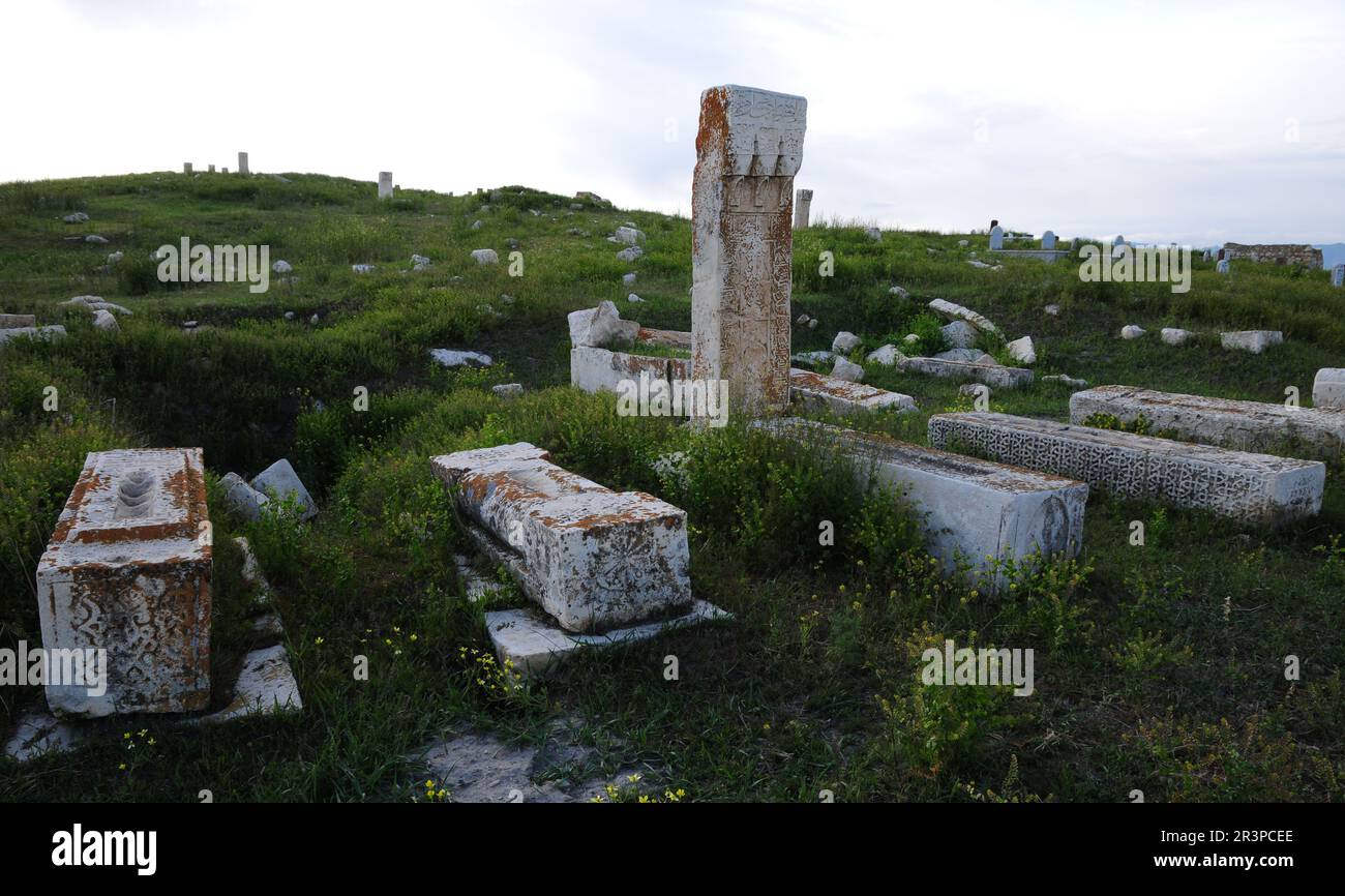 The Celebibagi Seljuk Cemetery, located in Ercis, Turkey, contains ...