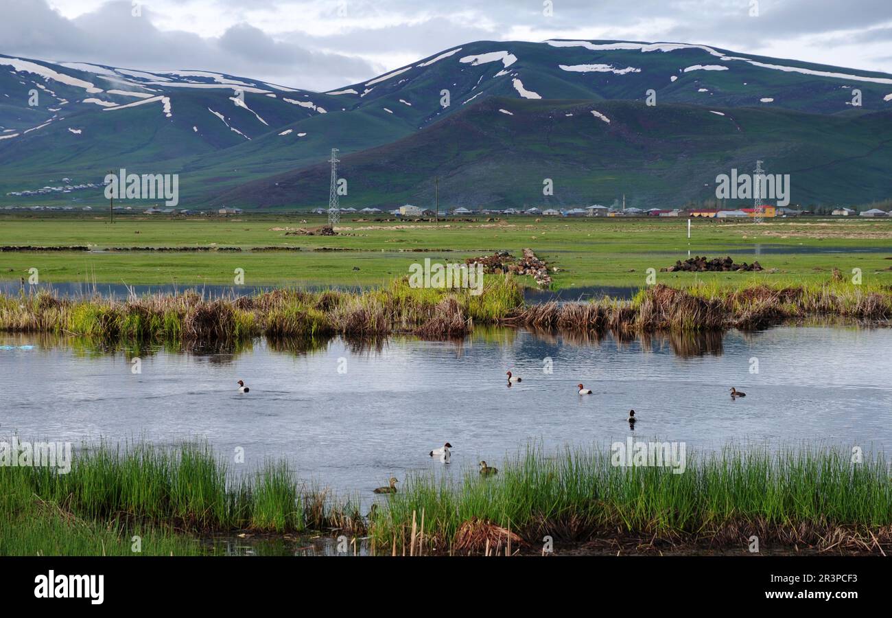 Caldiran hi-res stock photography and images - Alamy