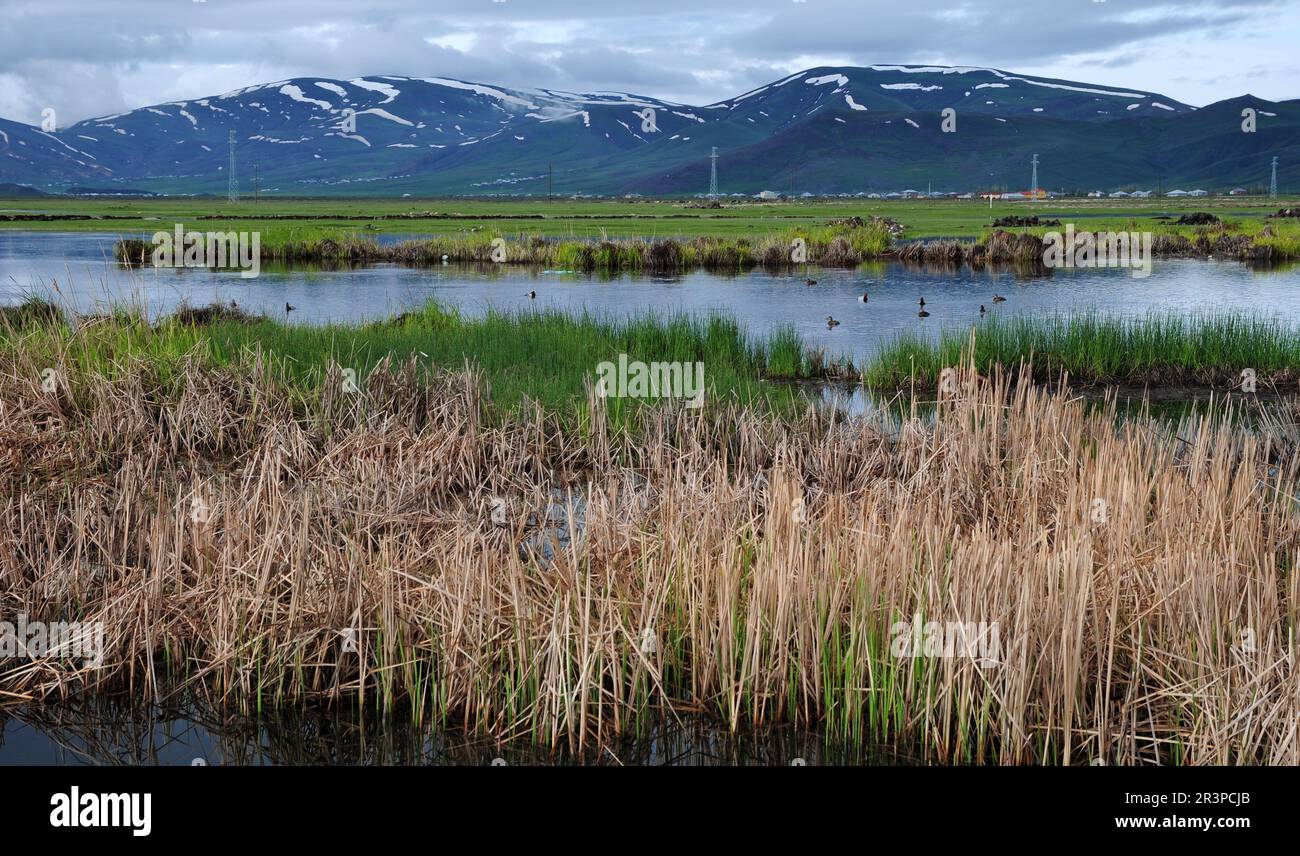 Turkiye turkey map zoom border hi-res stock photography and images - Alamy