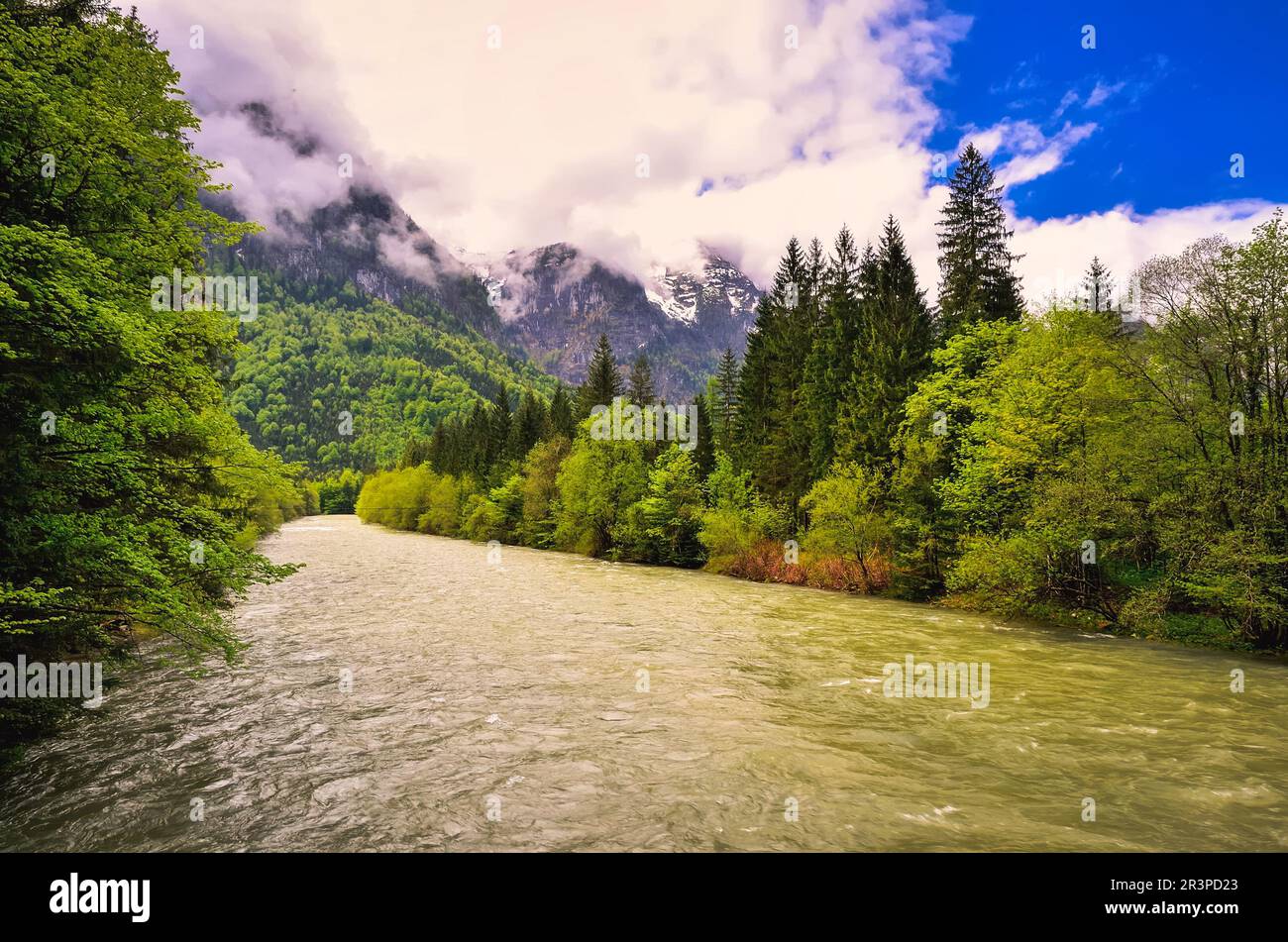 River in austrian mountains in spring season. Traun river flowing ...