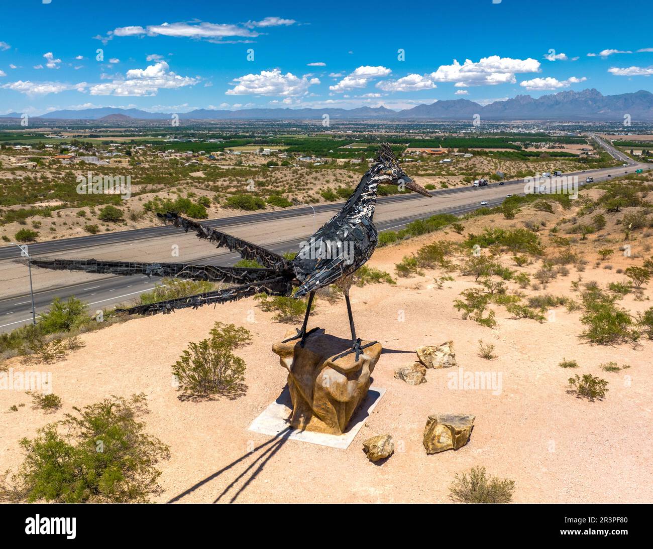 Large Roadrunner Sculpture, made from discarded, recycled items ...