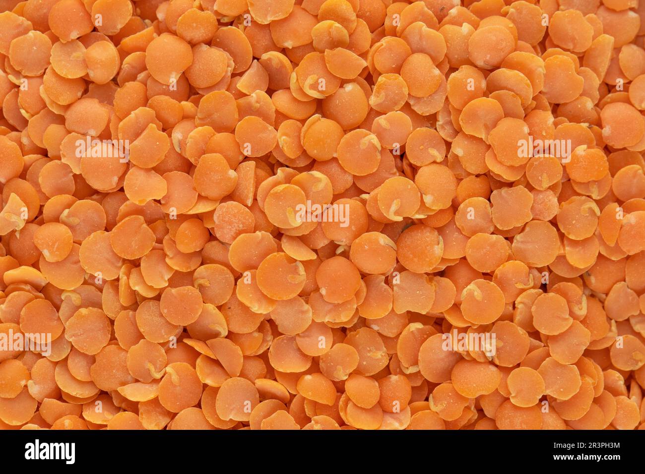 Red raw lentils in the whole frame. Vegetable protein. Horizontal photo ...