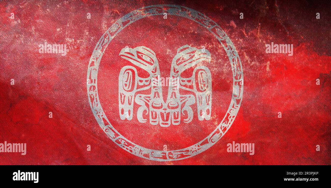 retro flag of Native Canadian peoples Haida people with grunge texture ...