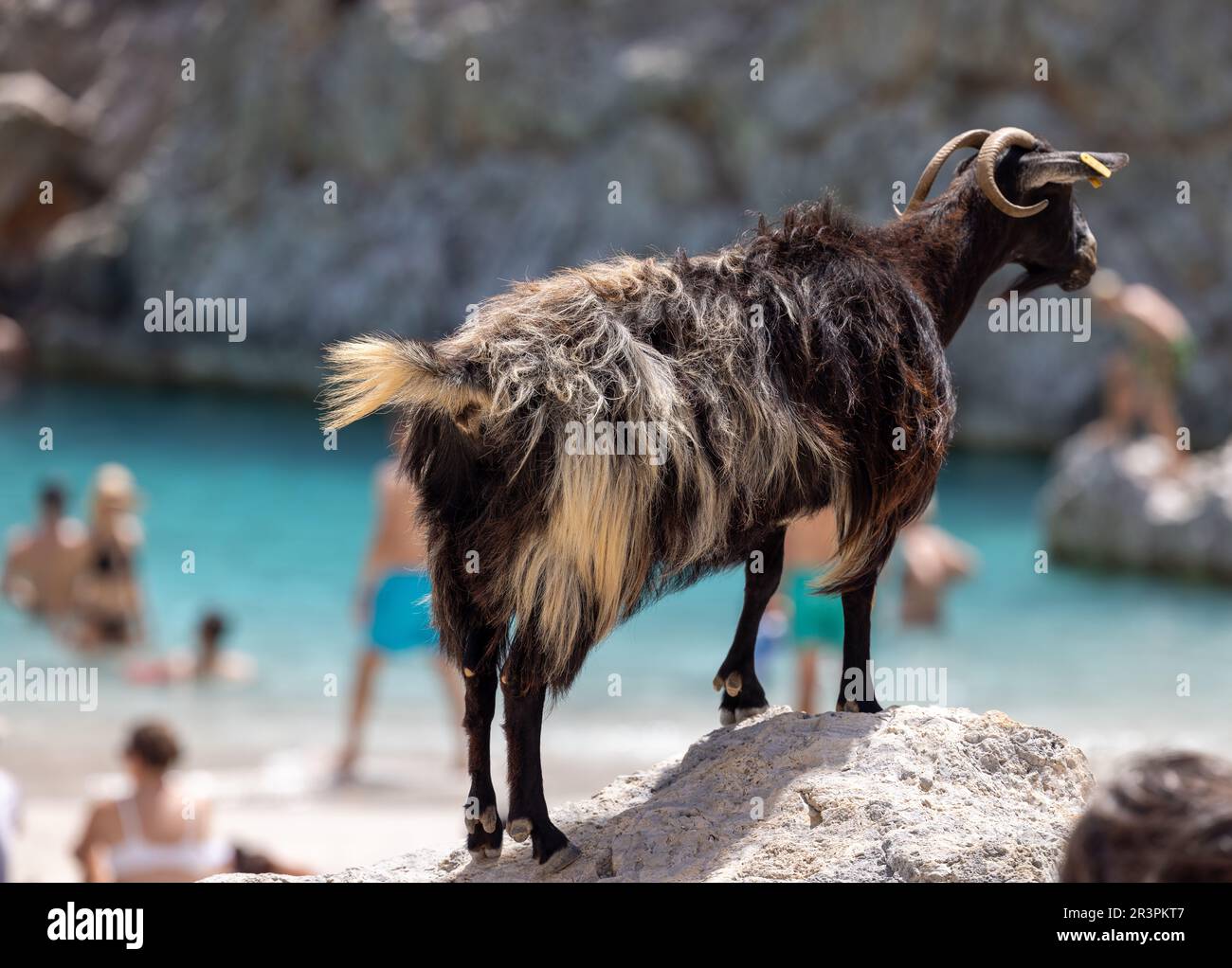 Seitan limania beach hi-res stock photography and images - Alamy