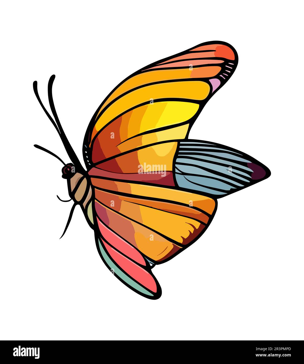 Elegant exotic butterfly side view isolated vector Stock Vector Image ...