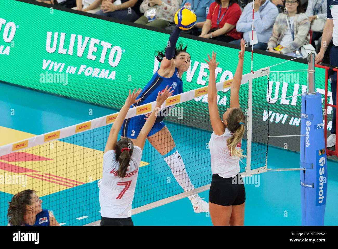 Brie joy king hi-res stock photography and images - Alamy