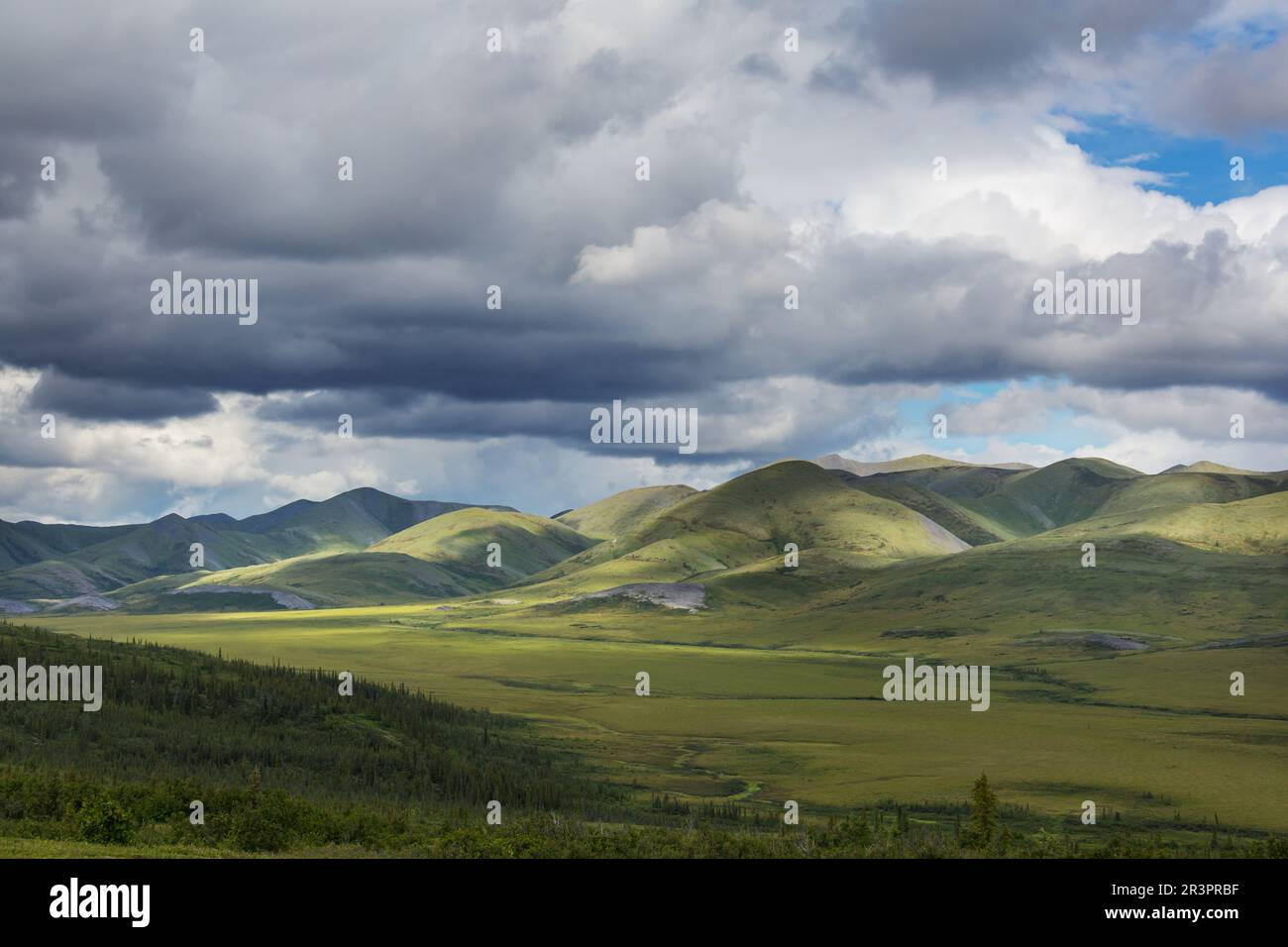 Treeless tundra hi-res stock photography and images - Alamy