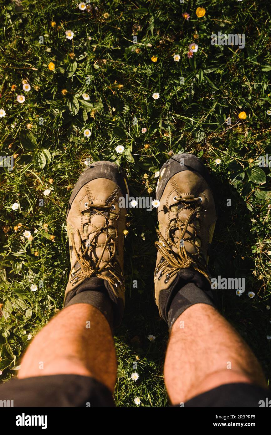 Brown hiking boots on green grass with daisy flowers in spring on a ...