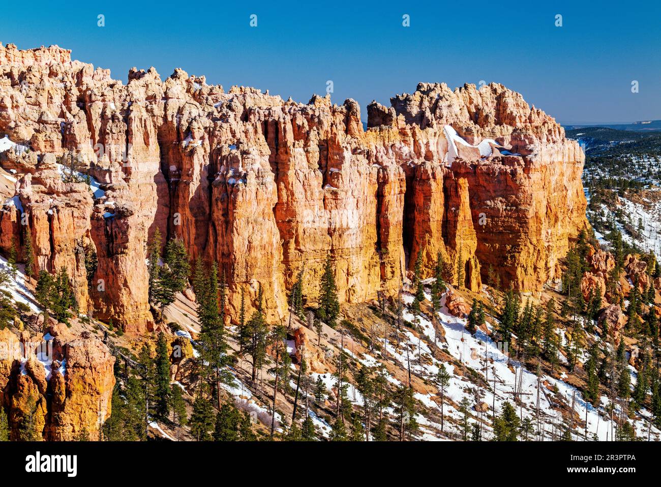 Swamp canyon overlook hi-res stock photography and images - Alamy