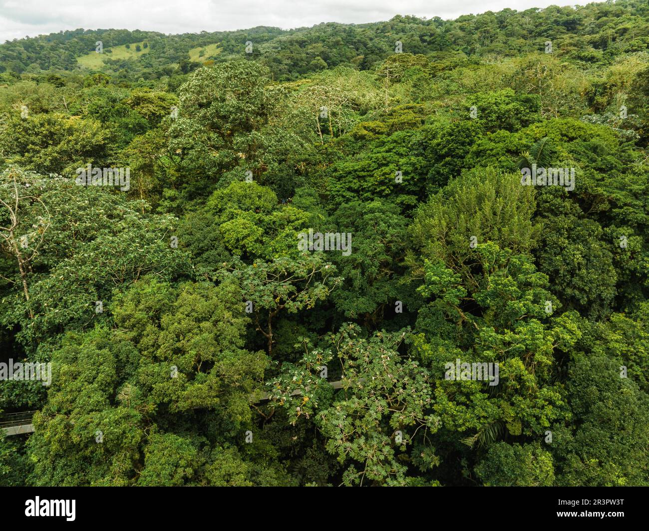Amazing view of beautiful nature in Costa Rica Stock Photo - Alamy