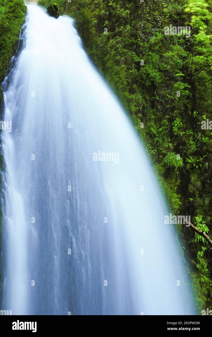 Fairy falls waterfall columbia gorge oregon hiking hi-res stock ...