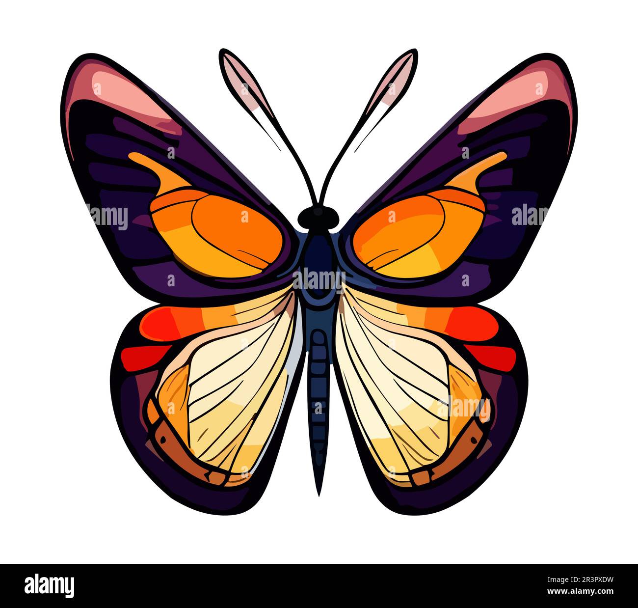 Elegant exotic butterfly vector isolated on white Stock Vector Image ...