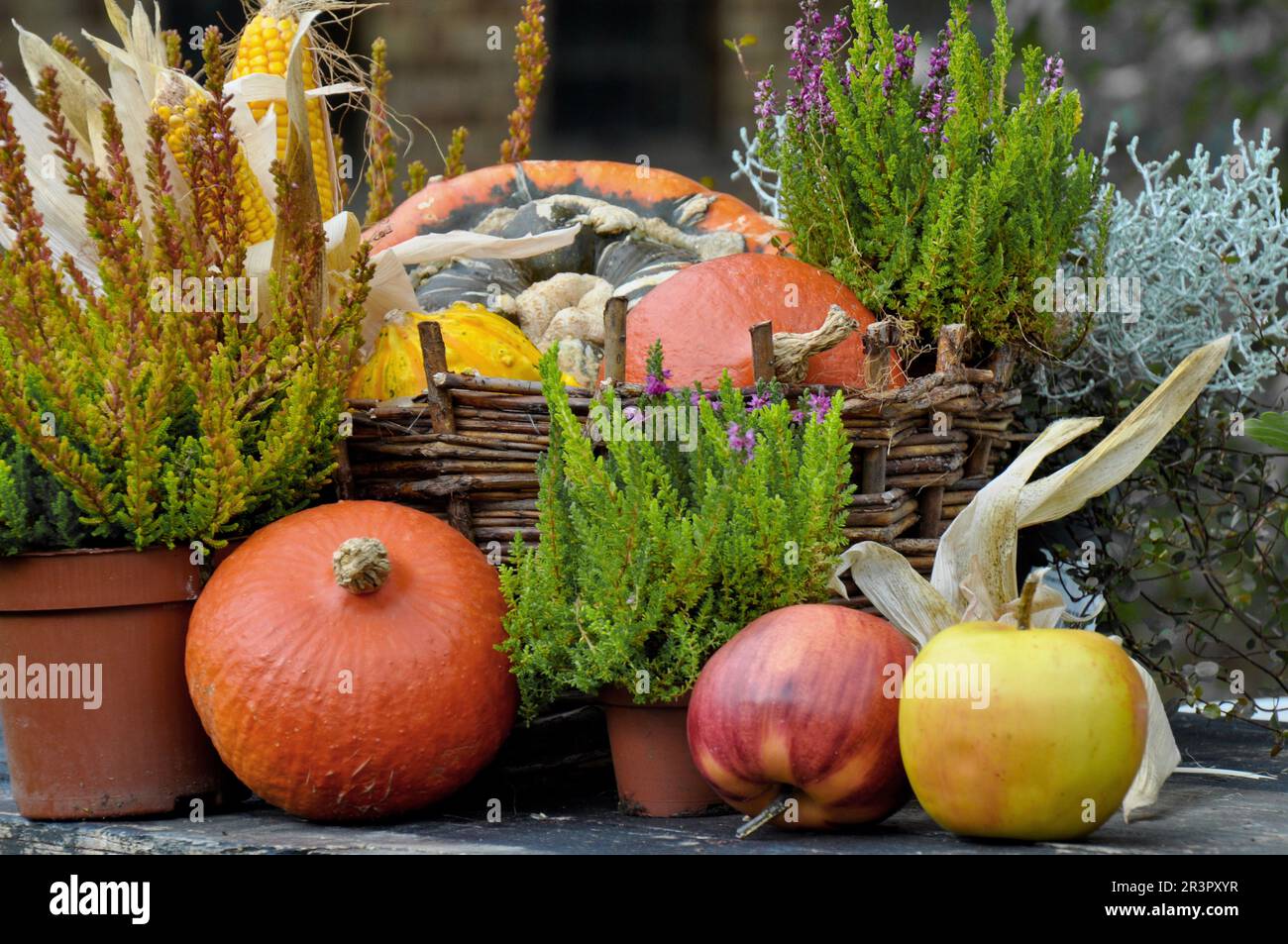 Heath aliment hi-res stock photography and images - Alamy