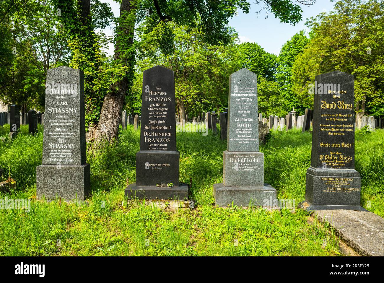 vienna, austria, 19 may 2023, graves in the old jewish section of the ...