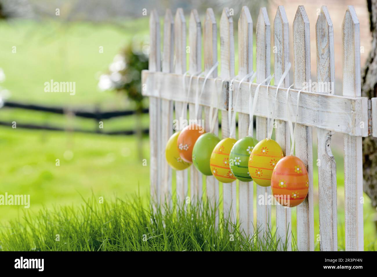 Garden fence hanging hi-res stock photography and images - Alamy