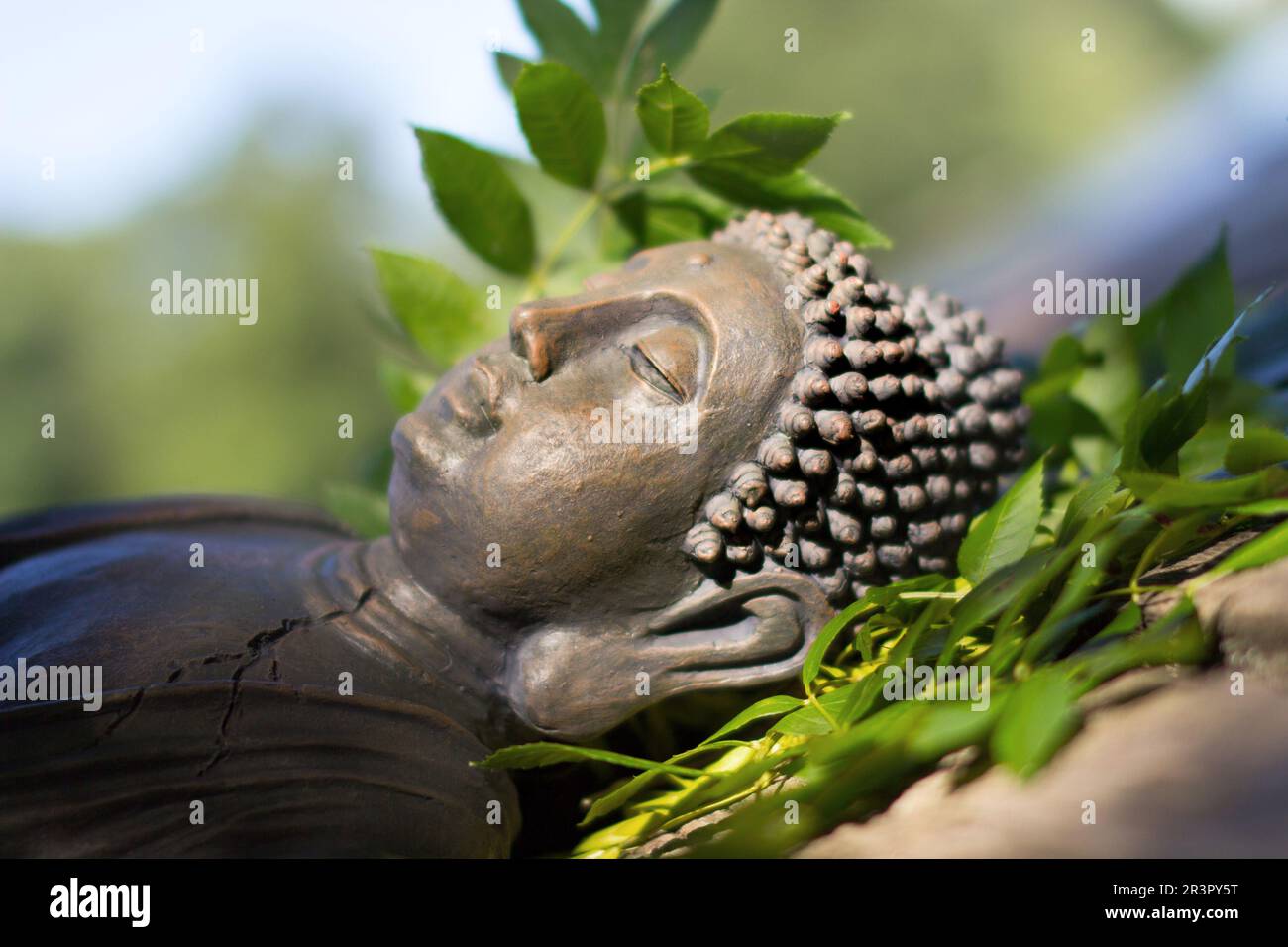 Buddha statue lying on leaves on a catwalk, head Stock Photo - Alamy