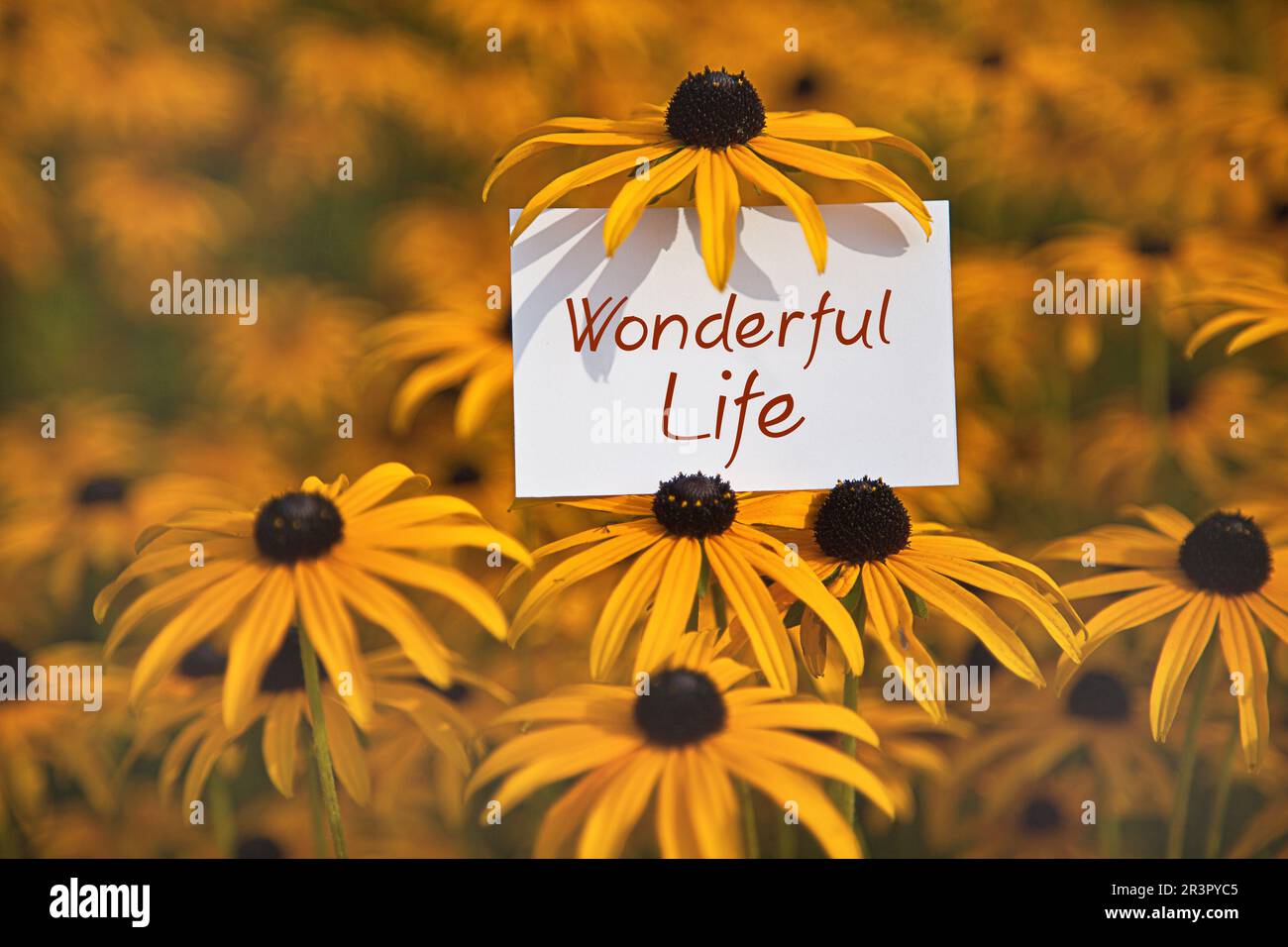 Wonderful sign hi-res stock photography and images - Alamy