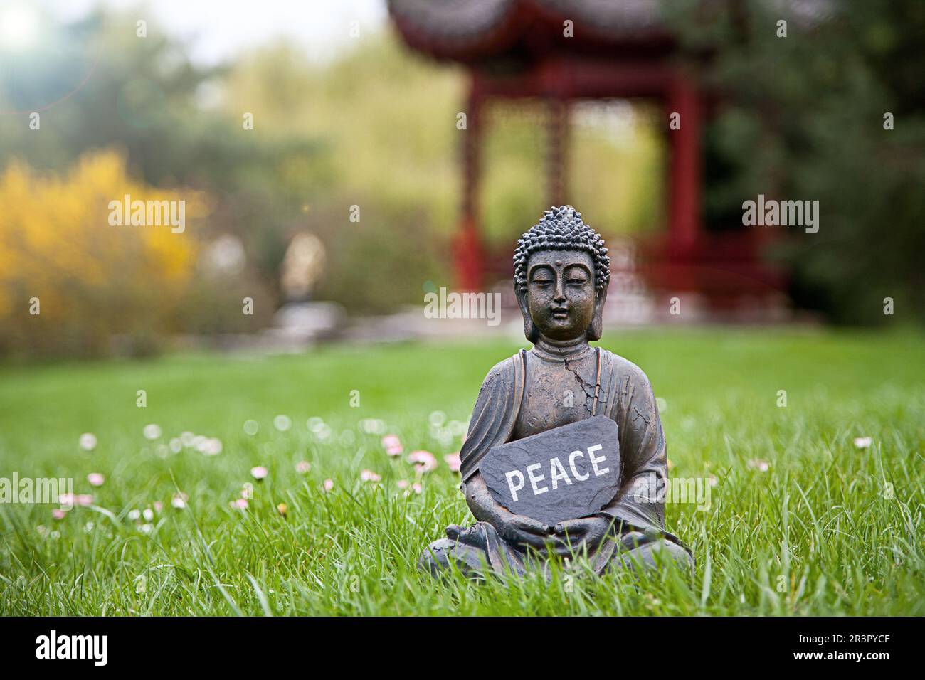 Buddha statue sitting on a meadow with a sign lettering peace Stock ...